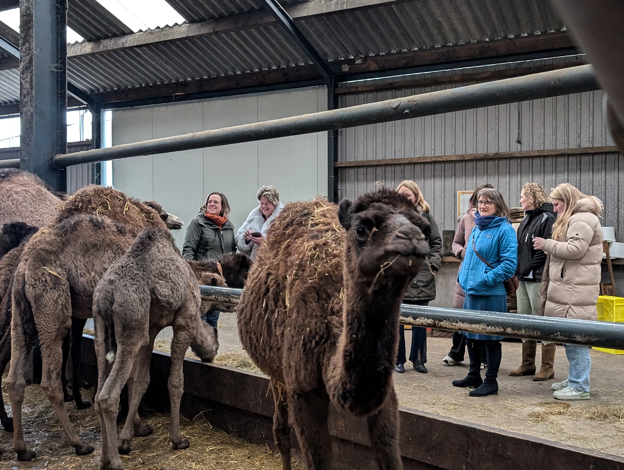 Bij de zevende bijeenkomst laten de vrouwelijke deelneemsters van de ...